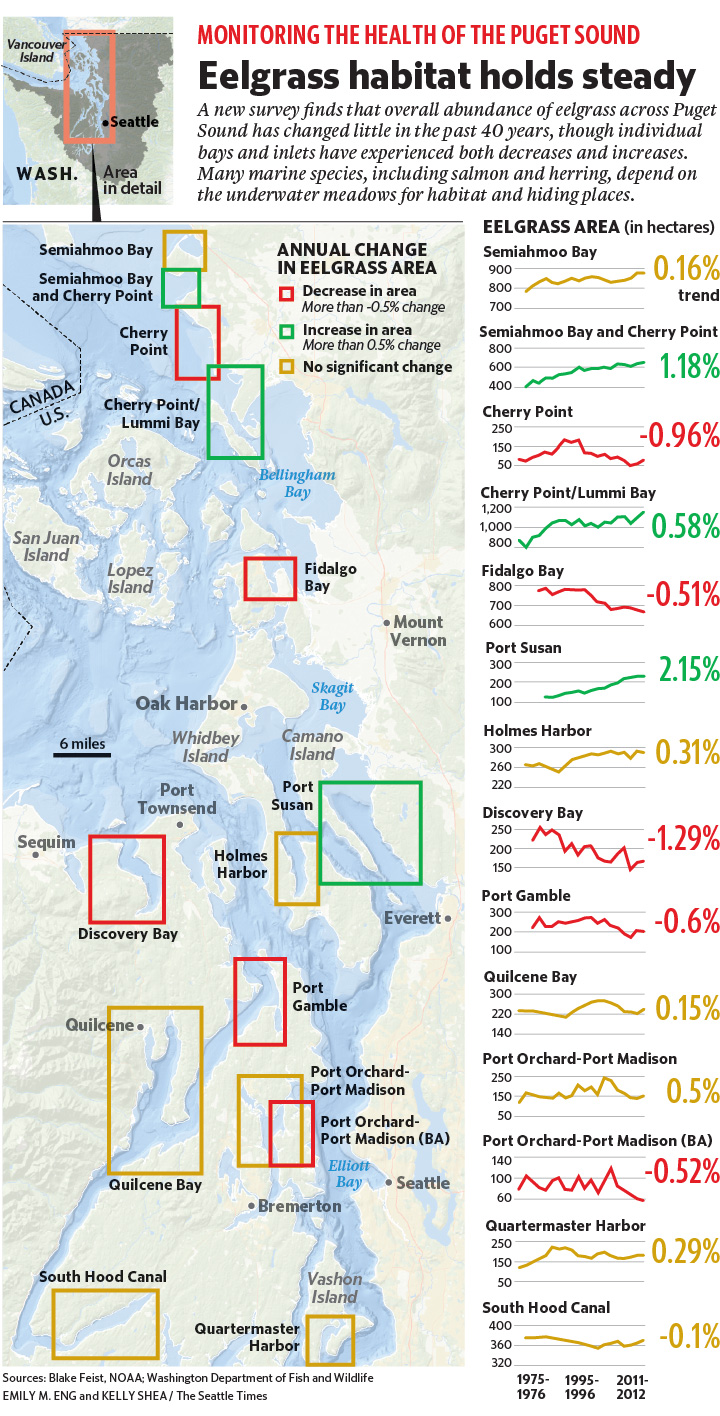 A bright spot in Puget Sound: Sealife-nurturing eelgrass beds are ...
